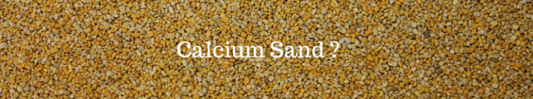 Calcium Sand For Leopard Geckos? | LeopardGeckoLand.com